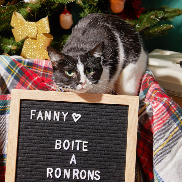 15 – French Bandit