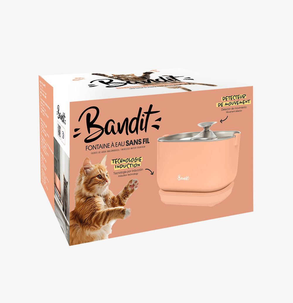 Fontaine à eau sans fil pour chat - French Bandit
