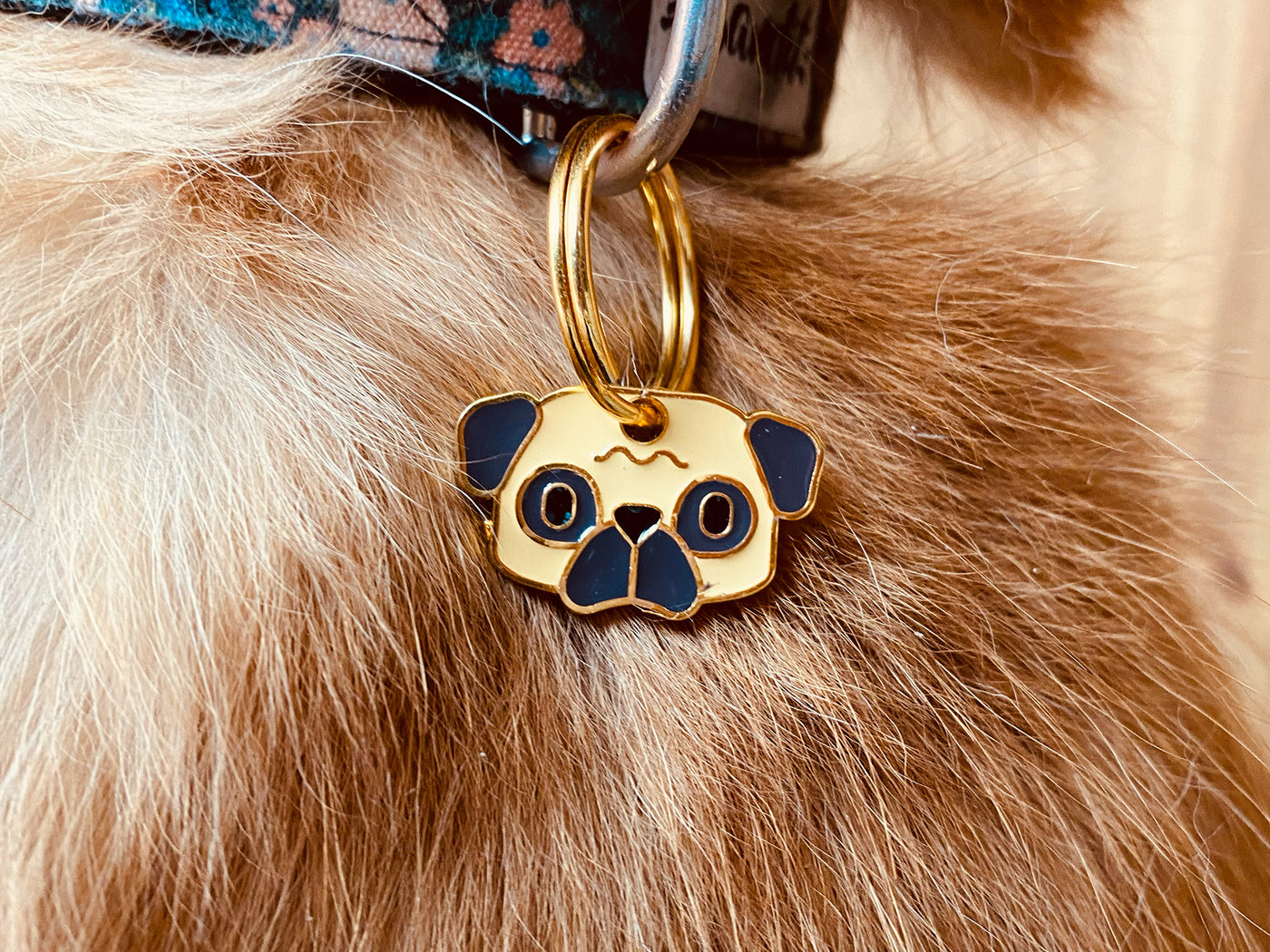 Médaille carlin pour chien - French Bandit